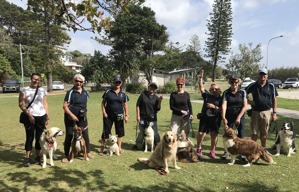 Services | Top Dog Academy